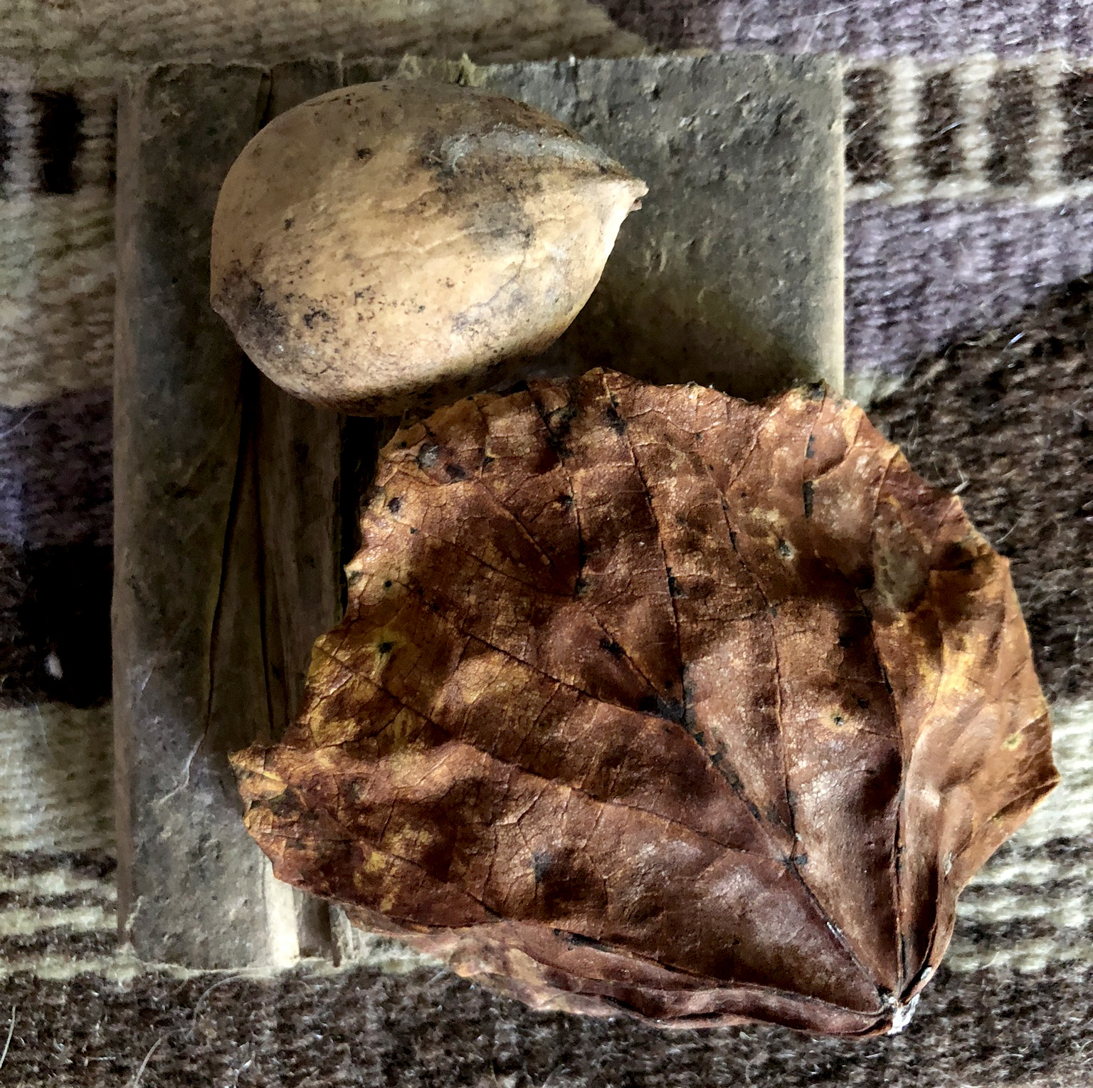 TRY IT! 7-Day Found Object Challenge for Composition Competence ...