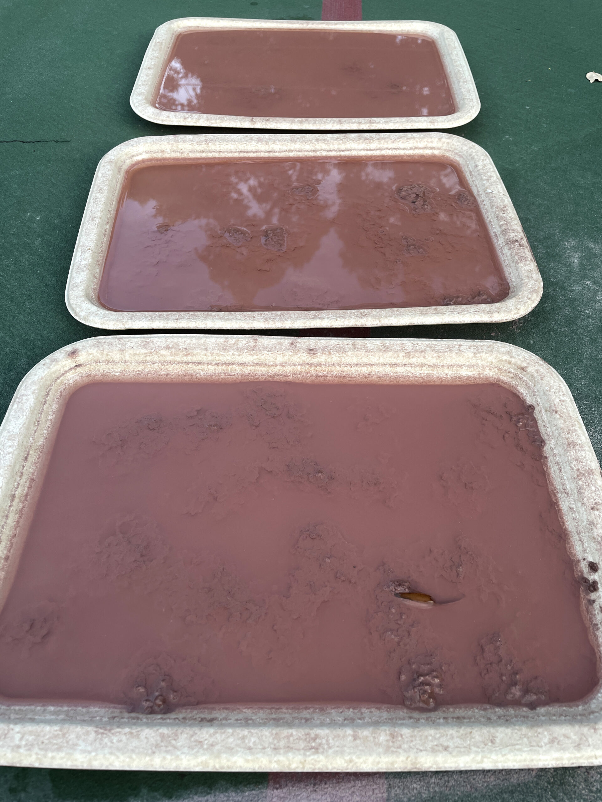 SHARDS: fragments and reflections | Lyn Belisle's online journal of ...