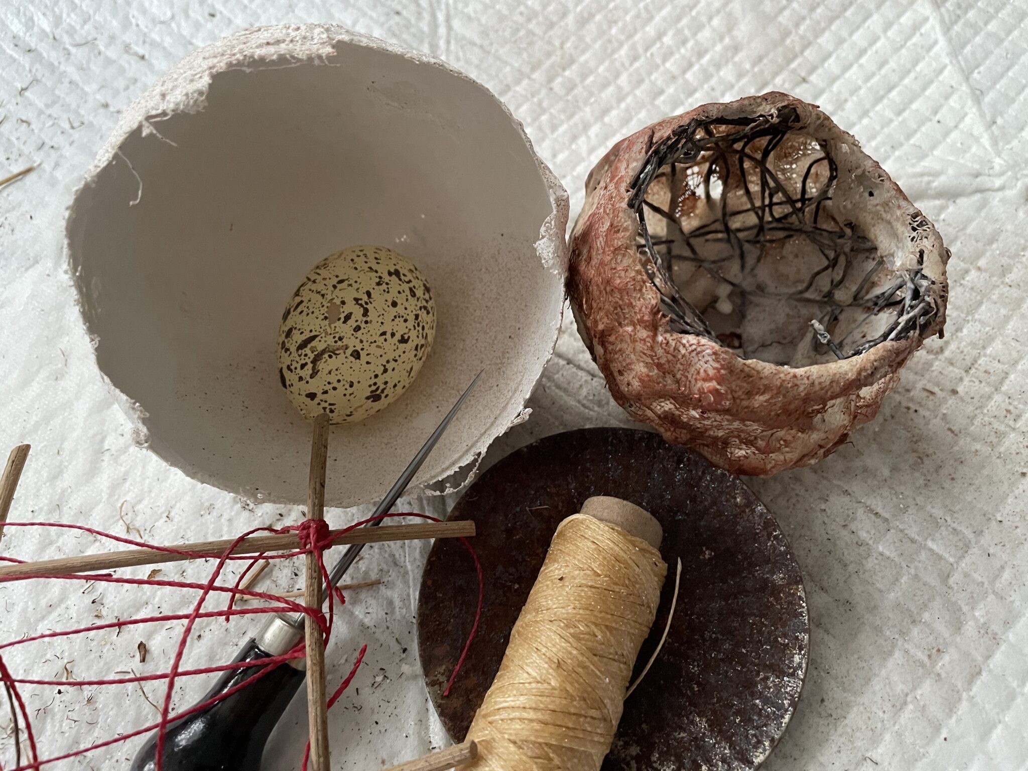 Fragments, Forms & Layers: Part Two | SHARDS: fragments and reflections